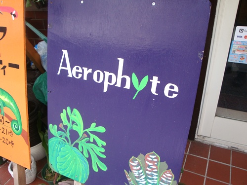 Aerophyte | 久保山タウン新聞